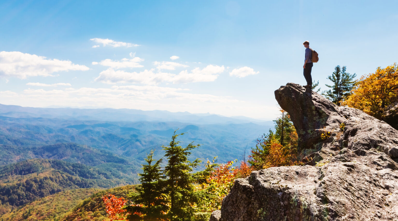 Insights: Wealth Management Blog | Diamond State Financial Group